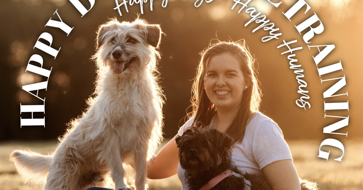Happy Dogs Hundetraining